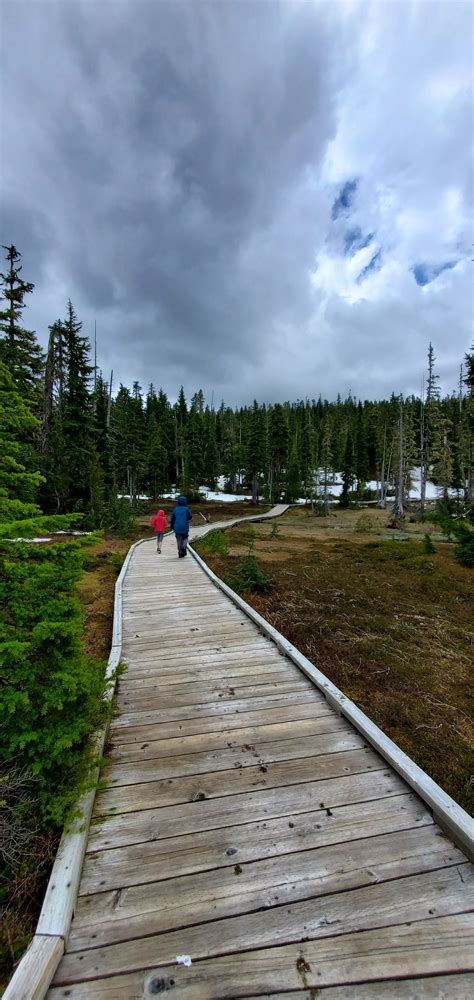 Im A Mean Mum Mean Mum Series Part 1 By Continual Momentum By