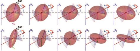 The Time Evolution Of Csa Tensors Upper Symmetric And Lower