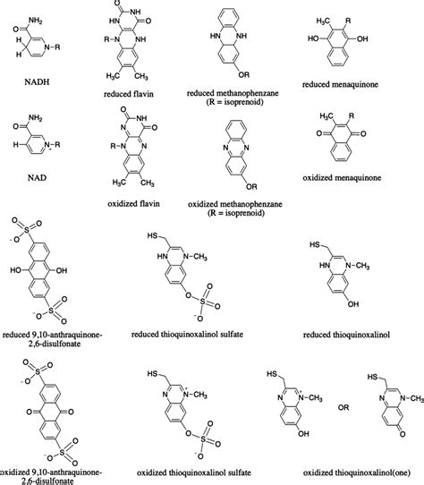 Similarities In The Chemical Structures Among The Known Redox Coenzymes Download Scientific