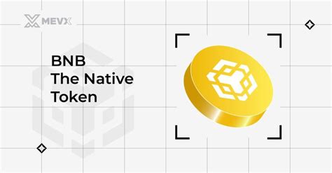 How Does the BNB Chain Work? Core Features and Architecture - Platform Trading Bot Mevx