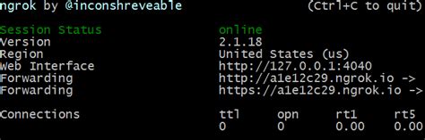 Python Programming Tutorials