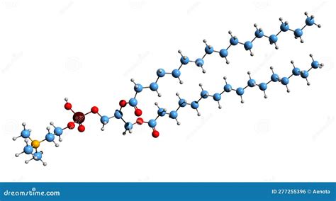 Pulmonary Surfactant Molecule Chemical Structure Of Dipalmitoylphosphatidylcholine Dppc The