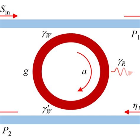 An Optical Amplifier Made Of A Microring Resonator Gain Element With