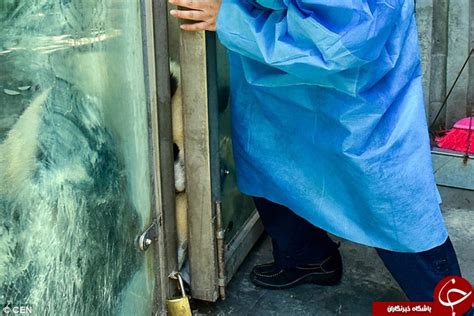 خوش‌شانس‌ترین کارگر جهان فیلم و تصاویر