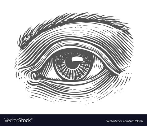 Human Eye In Engraved Style Hand Drawn Sketch Vector Image