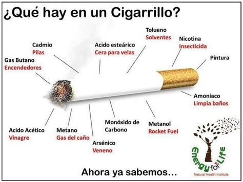 Ayda Partes Que Conforma El Cigarro Ayuda Porfavor Brainlylat
