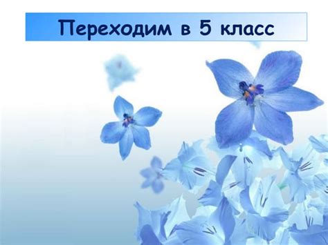 переходим в 5 класс | PPT