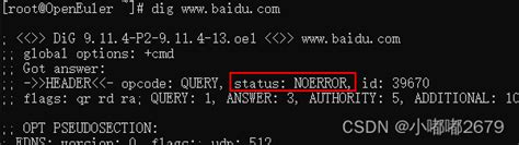 euler系统设置dns服务器地址 欧拉系统配置dns csdn博客