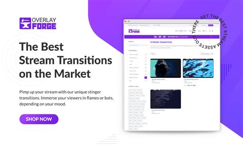 What Is A Stinger Transition All You Need To Know