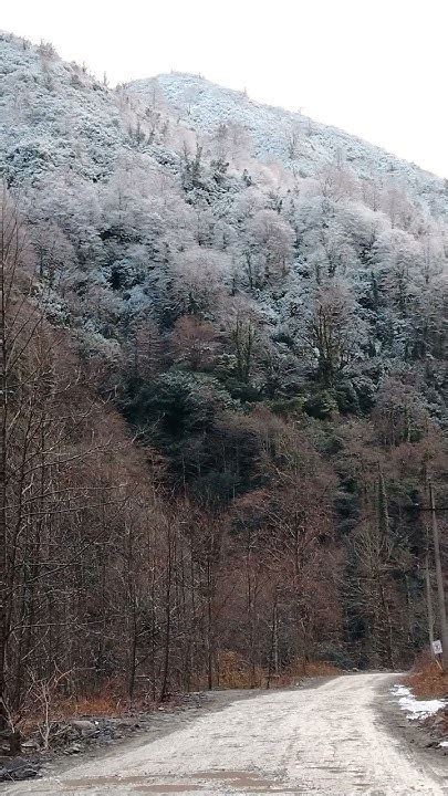 12 თებერვალი 2025 Youtube