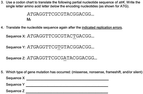 Solved Use A Codon Chart To Translate The Following Partial Nucleotide
