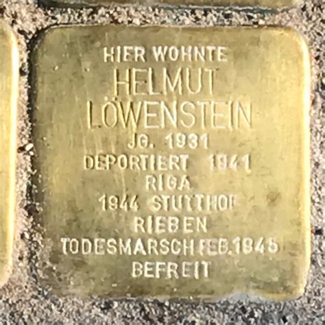 Profile Of Resilience — Shoah Survivor Harry Lowenstein Revisits