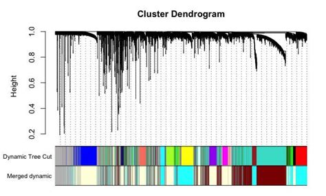 How To Improve This Wgcna Analysis Rbioinformatics