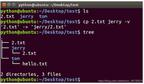 在ubuntu中使用cp命令选项—拷贝文件夹使用的命令 ubuntu cp 缘 源 园的博客 csdn博客