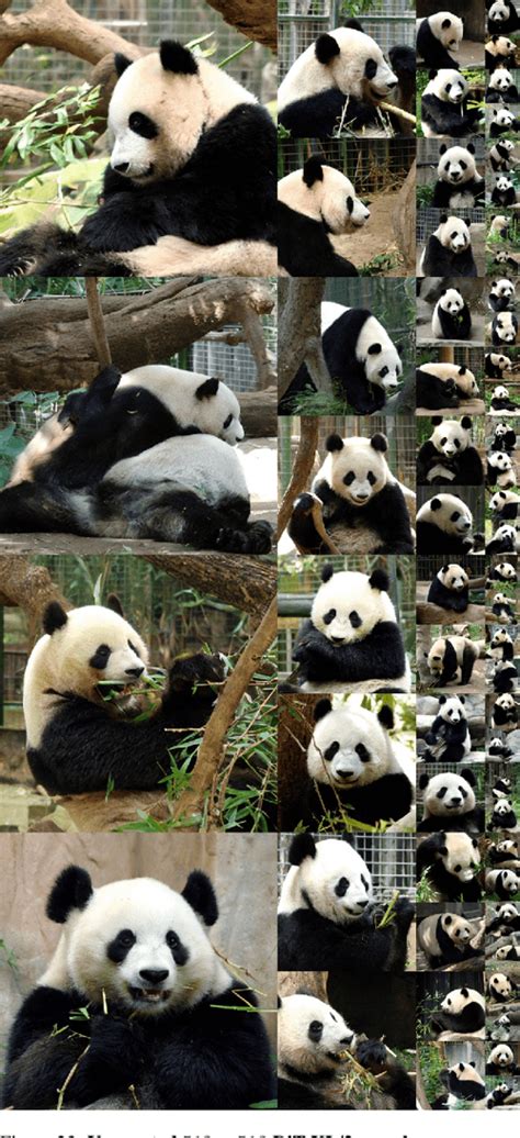 Pdf Scalable Diffusion Models With Transformers Semantic Scholar