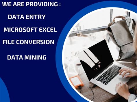 Excel Data Entry Cleaning And Formatting Service Upwork