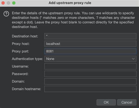 Additional Burp Best Practices And Tips Testing Handbook