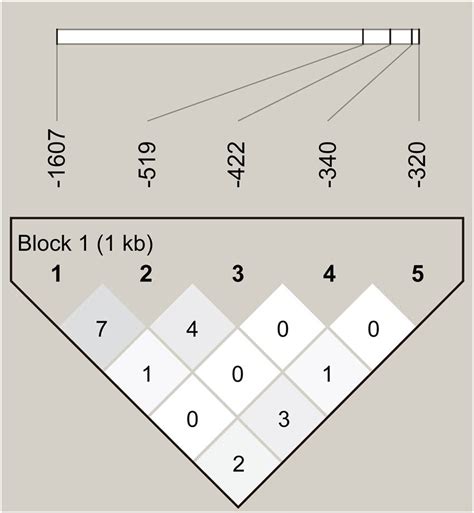 Linkage Disequilibrium Plot Of Mmp1 Promoter Loci Pairwise Linkage