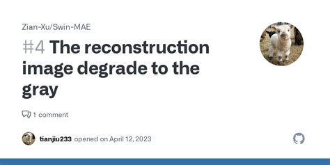 The Reconstruction Image Degrade To The Gray · Issue 4 · Zian Xuswin