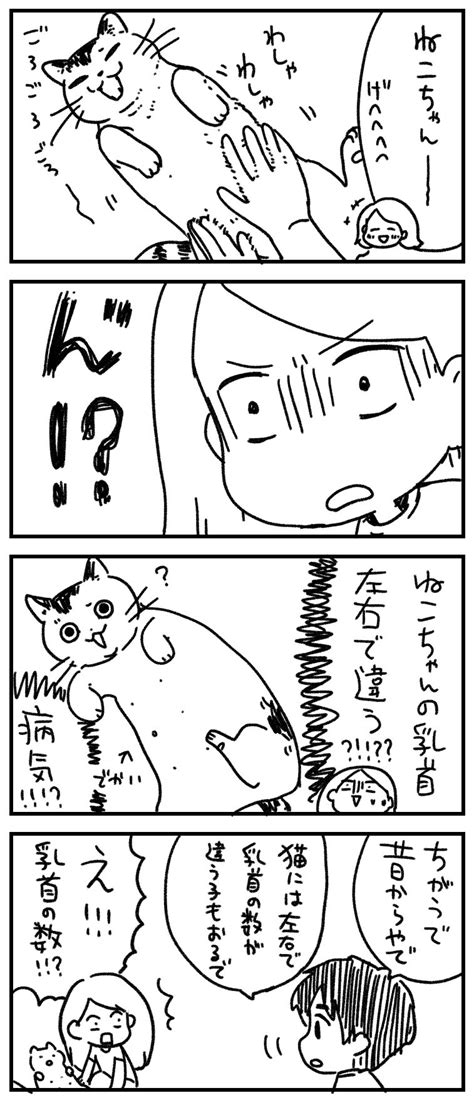 かみじょーひろ on Twitter コマ猫の乳首