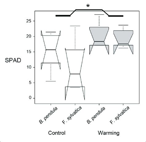 Median Spad Values Of Six Random Leaves Per Tree Seedling Measured 2