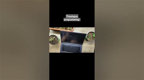 Coding Timelapse Watch Me Code Relax Coding Programming Timelapse Shorts