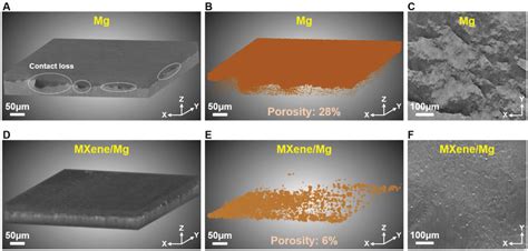 X‐ray Microscopy Xrm With Microcomputed Tomography µct Of The Download Scientific Diagram
