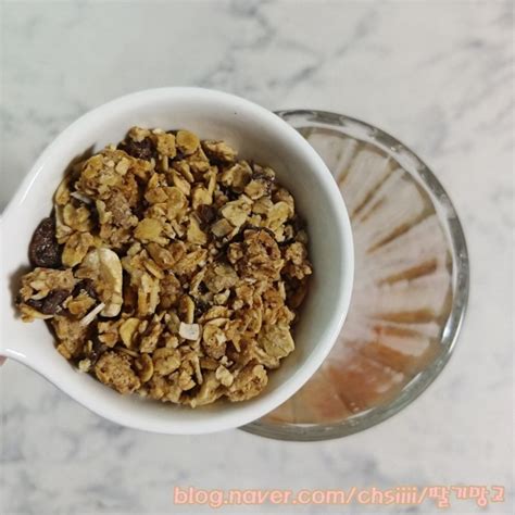 과일과 요거트를 넣은 추억의 파르페 간식 디저트