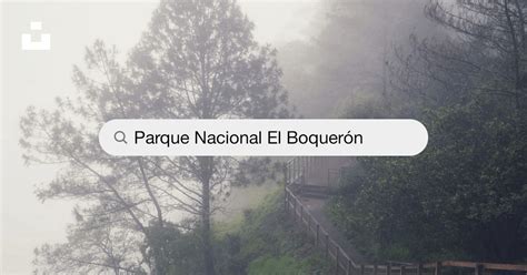 Parque Nacional El Boquerón 사진 Unsplash에서 무료 이미지 다운로드