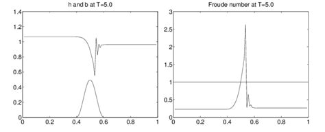 transcritical shock without parabolic regularization 100 mesh cells