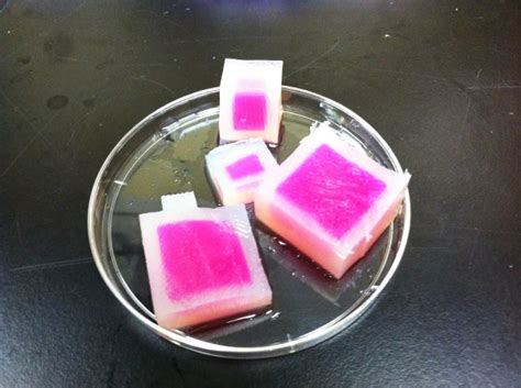 Diffusion Active Transport And Osmosis Grade 9 Understanding For