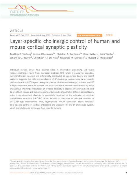 Pdf Layer Specific Cholinergic Control Of Human And Mouse Cortical Synaptic Plasticity