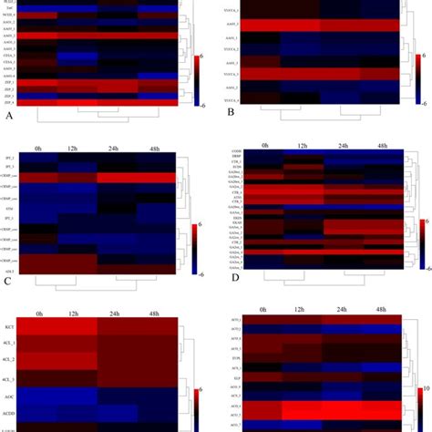 a heat map indicating expression patterns of hormones related