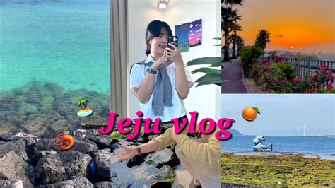 Vlog 제주도 서부 1박2일 혼자 여행 브이로그 먹다 끝나는 여행 협재 곽지 판포포구 한림 애월 Youtube