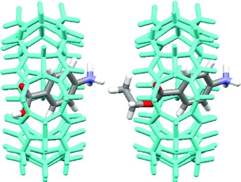 Energy Minimized Structures Dftb3lyp6 31gd Basis Set Of Download Scientific Diagram