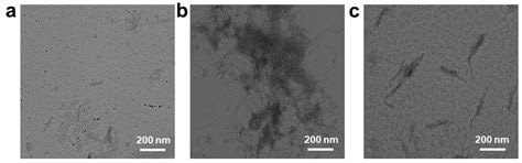 Molecules Free Full Text Rational Design Of Nitrogen Doped Carbon