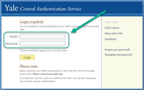 Accessing Dynamic Forms Dynamic Forms