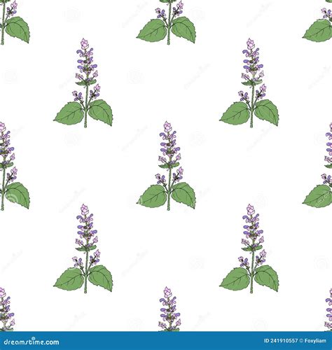Seamless Pattern With Clary Sage Stock Vector Illustration Of Colorful Ripe