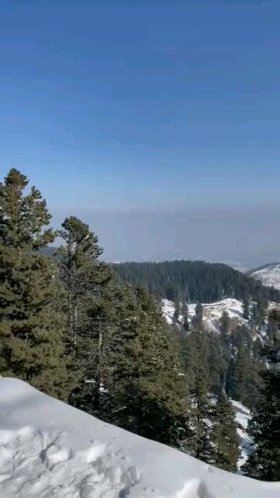 Saaqib Riyaz Posted On Linkedin