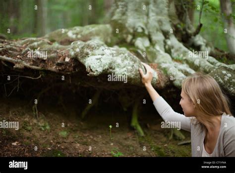 Woman Touching Large Tree Roots Stock Photo Alamy