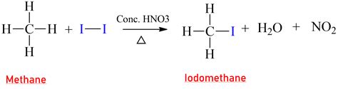 Haloalkanes Unit 8 Class 12 Chemistry Neb Neb Notes Iswori Education