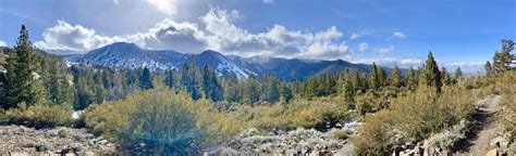Churchs Pond Via Jones White Creek Trail 733 Reviews Map Nevada