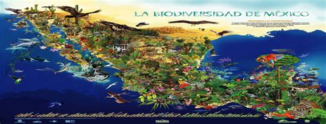 Biodiversidad México Entre Los Países Con Mayor Diversidad Biológica
