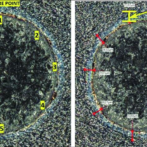 Prepared Sample To Measure The Recast Layer Download Scientific Diagram