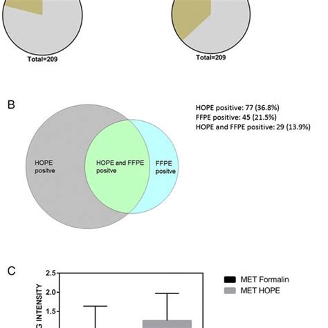 distribution of positive and negative met expression of nsclc samples