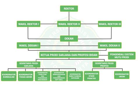 Struktur Organisasi Sarjana Dan Profesi Bidan Struktur Organisasi Sarjana Dan Profesi Bidan