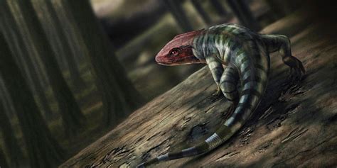 A New Discovery Is Rewriting The History Of Evolution…