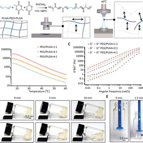 Characterization Of Micronano Microspheres Targeting The Mitochondria
