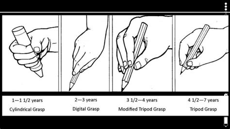 Pencil Grip Preschool Fine Motor Fine Motor Developmental Stages