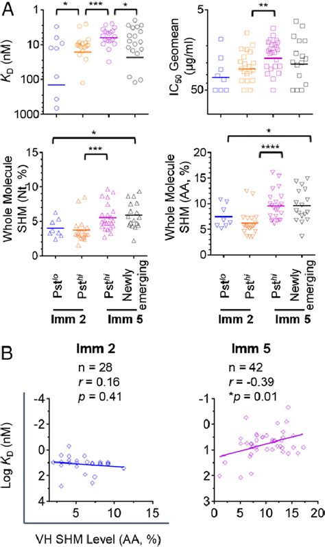 Affinity Selection Is Strongly Associated With Clonal Persistence Of